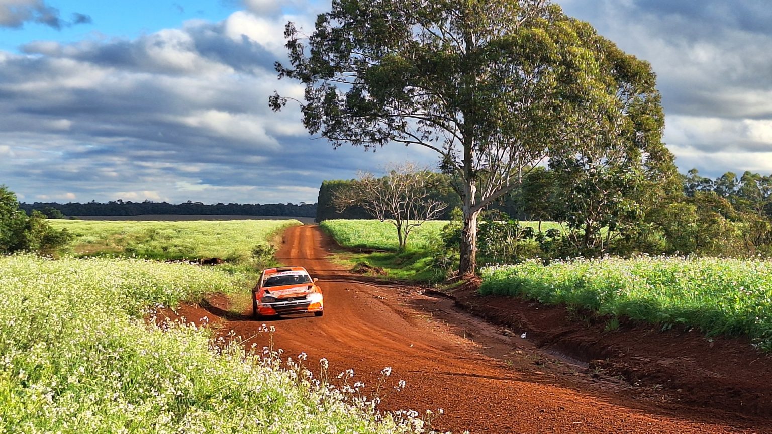 Rally del Paraguay 2025 — Guía para visitantes internacionales ...